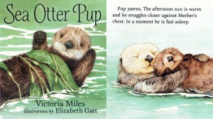 See the Sea Otters | See the World
